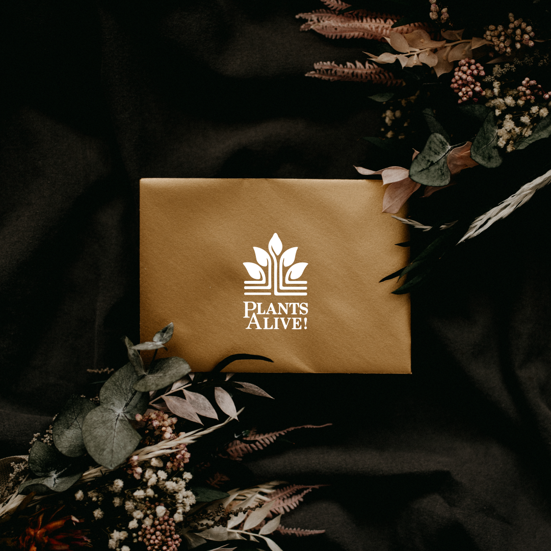 E-Gift Card (Digital) – Plants Alive!